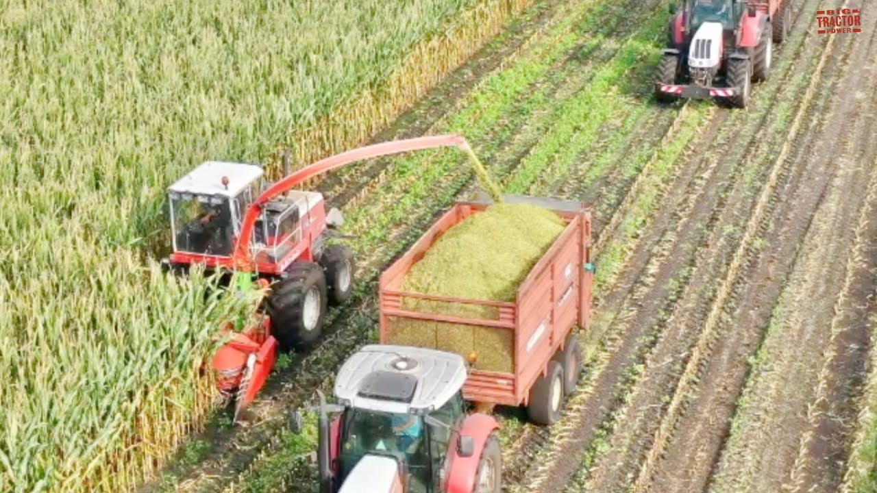 STEYR 8320 Forage Harvesting Corn