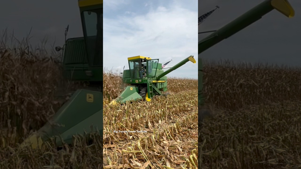 JOHN DEERE 3300 Combine Harvesting Corn #bigtractorpower